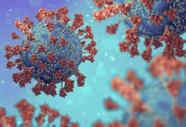 Infectious Diseases And Immunology | Institute for Medical Engineering ...