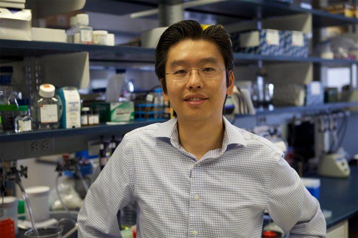 HST alum receives 2022 Vilcek Prize for Creative Promise in Biomedical ...