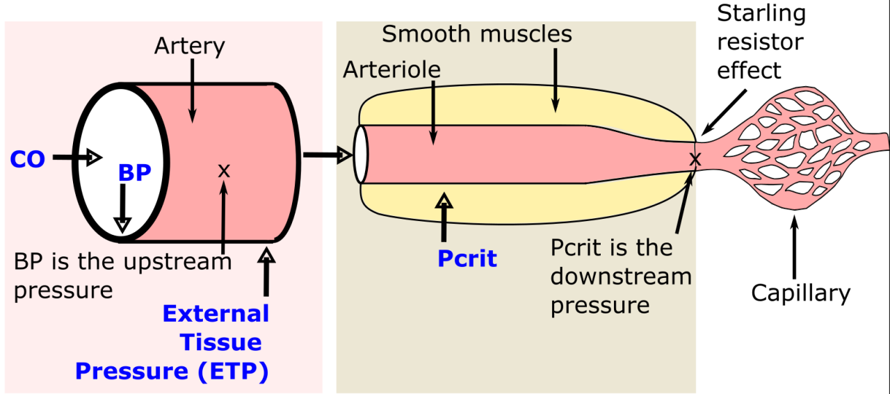 New research published in Nature Medicine gives hope for better ...